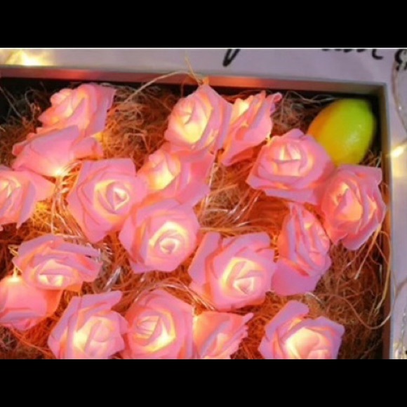 Accents | Pink Aesthetic Rose String Lights | Poshmark